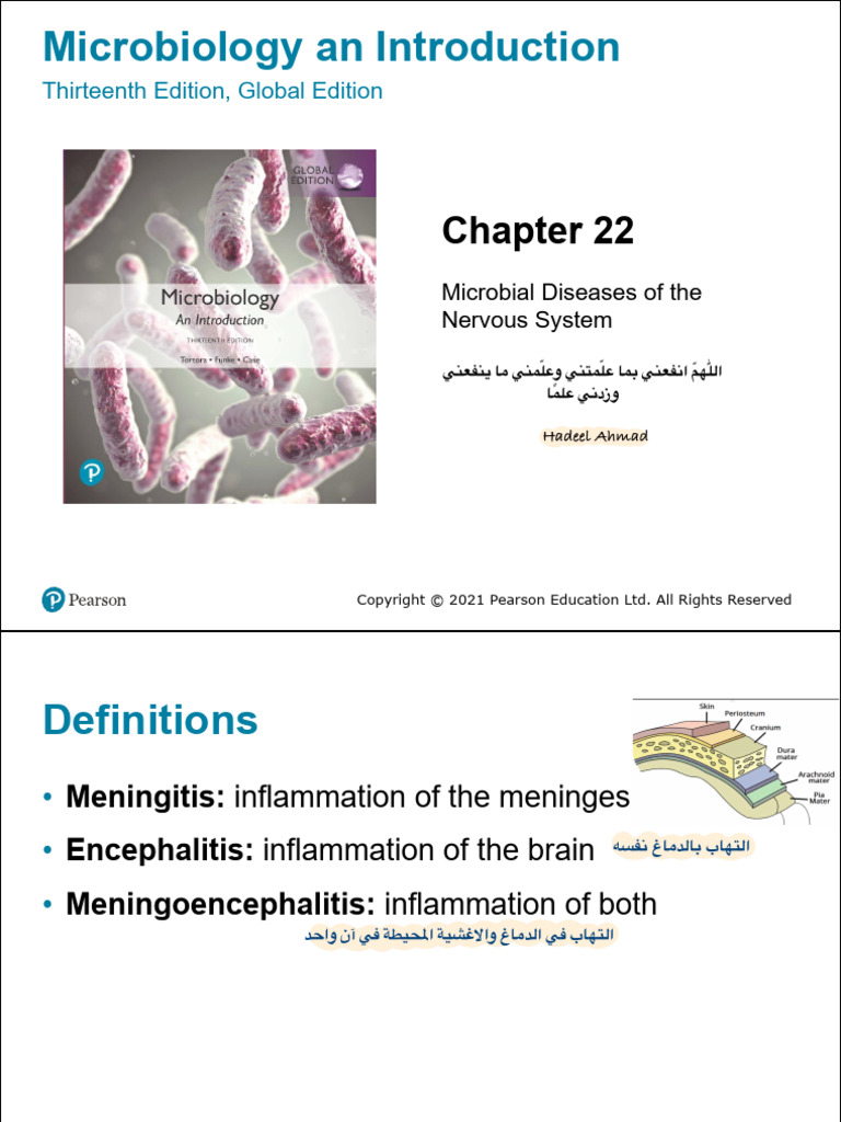 CH 22 Microbial Diseases of The Nervous System Summer Sem2022 20235358 ...