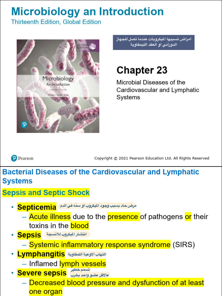 CH 23 Microbial Diseases of The Cardiovascular and Lymphatic System | PDF