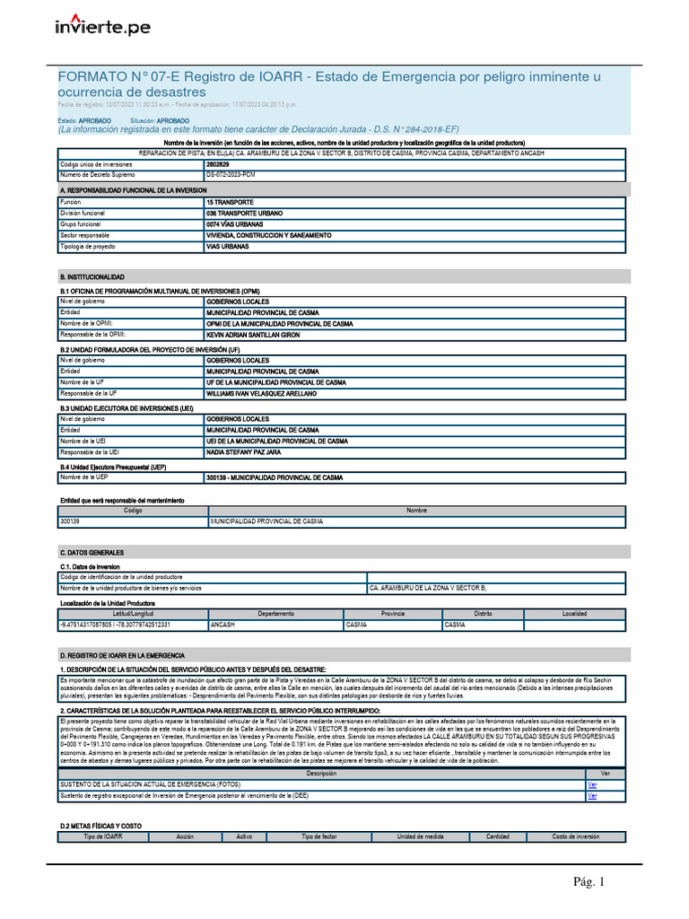 Formato #7 C - Registro de Ioarr | PDF