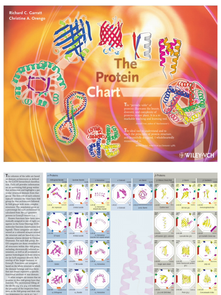 Protein Chart | PDF | Biology | Cell Biology