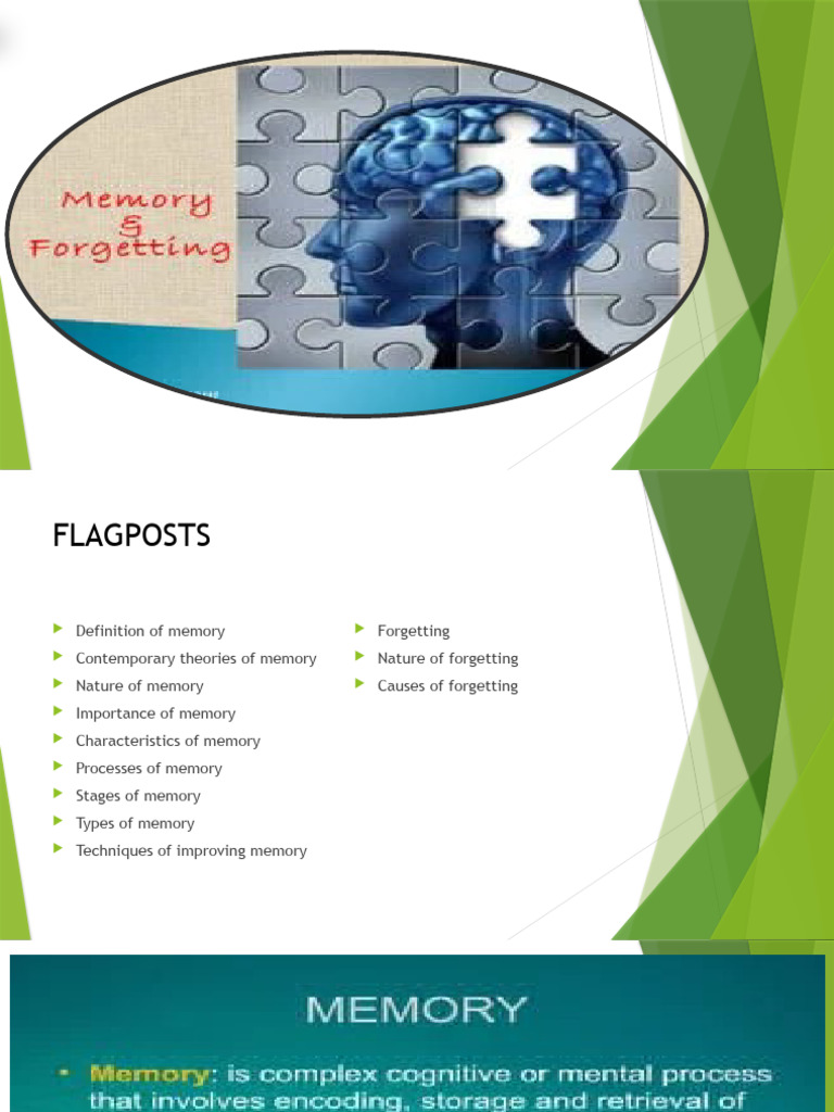 MEMORY | PDF | Memory | Information