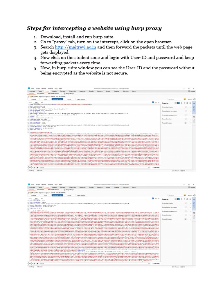 Practical On Burp Proxy | PDF