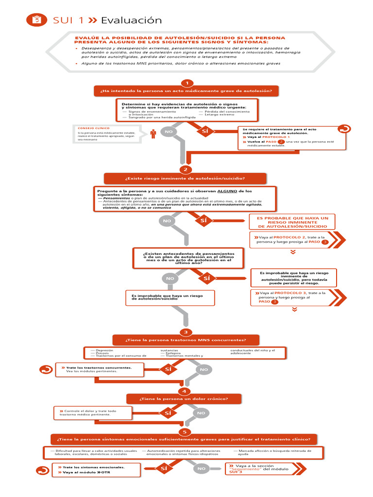 Suicidio SUS 1 Evaluacion | PDF | Autolesiones | Suicidio