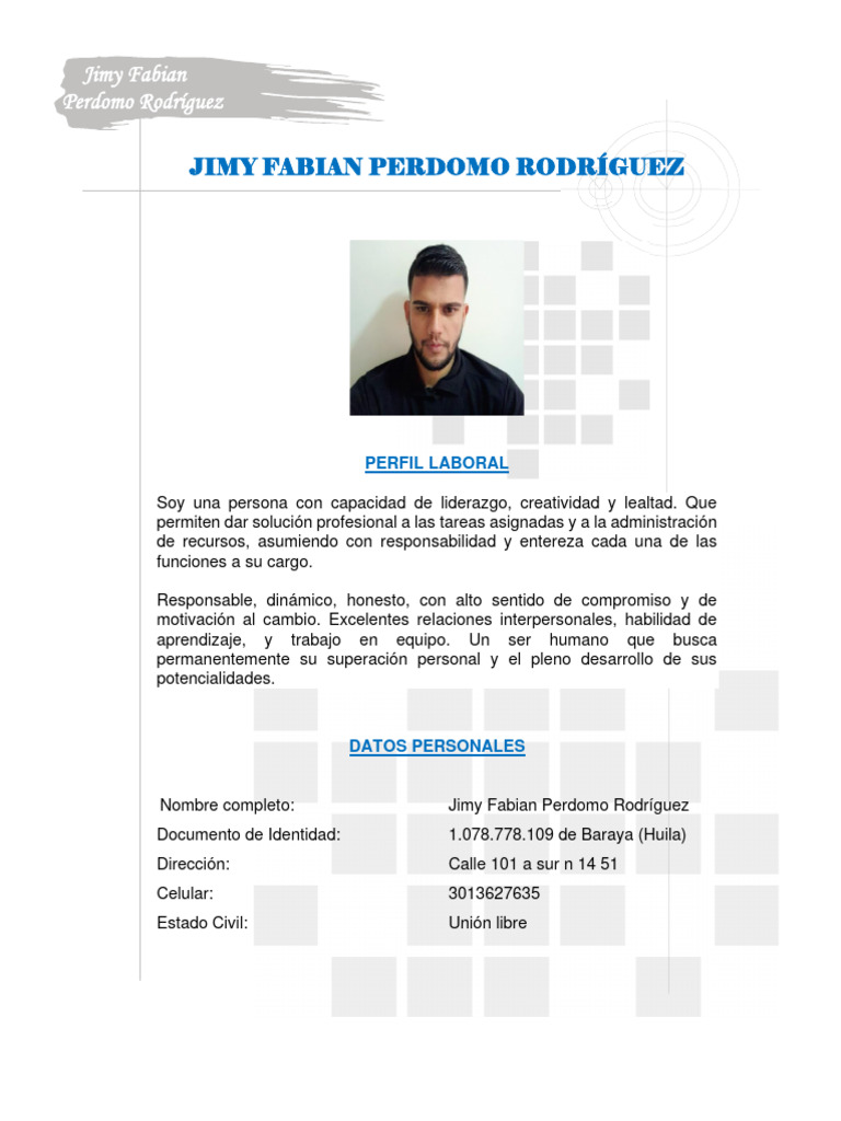 Perfil Laboral de Jimy Perdomo | PDF