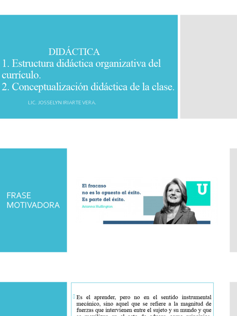DIDÁCTICA | PDF | Plan de estudios | Enseñando