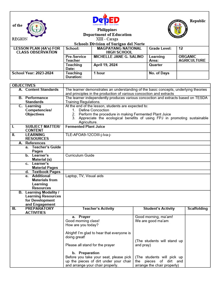Final Demo Lesson Plan | PDF | Learning | Lesson Plan