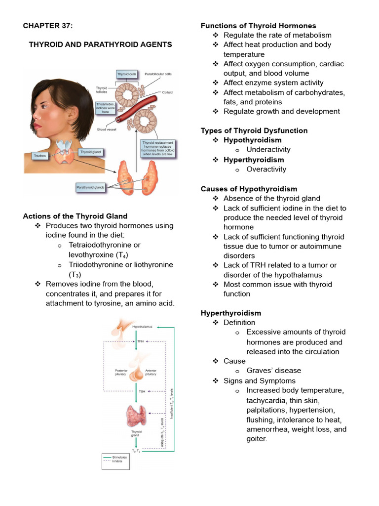Chapter 37 | PDF | Hyperthyroidism | Thyroid