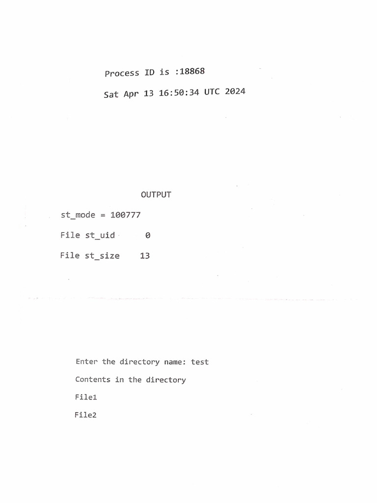 System Calls Output | PDF