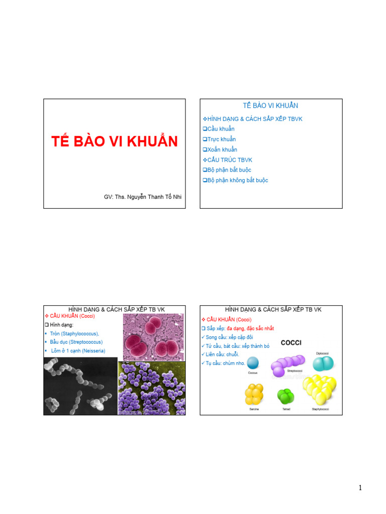Te Bao VK | PDF