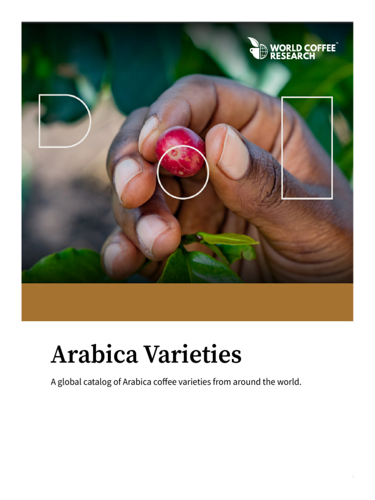 World-Coffee-Research-Arabica-Varieties | PDF | Coffee | Plant Breeding