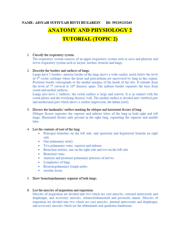 Tutorial t2 (Anatomy) | PDF | Lung | Thorax (Human Anatomy)