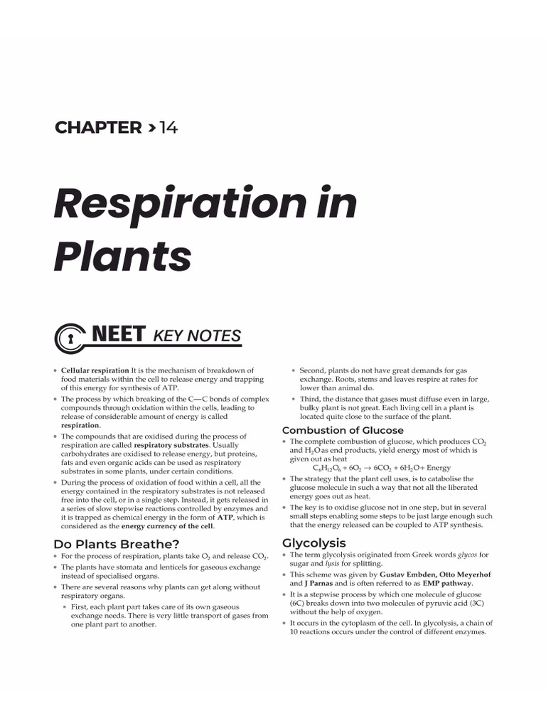 Respiration in Plants notes | PDF