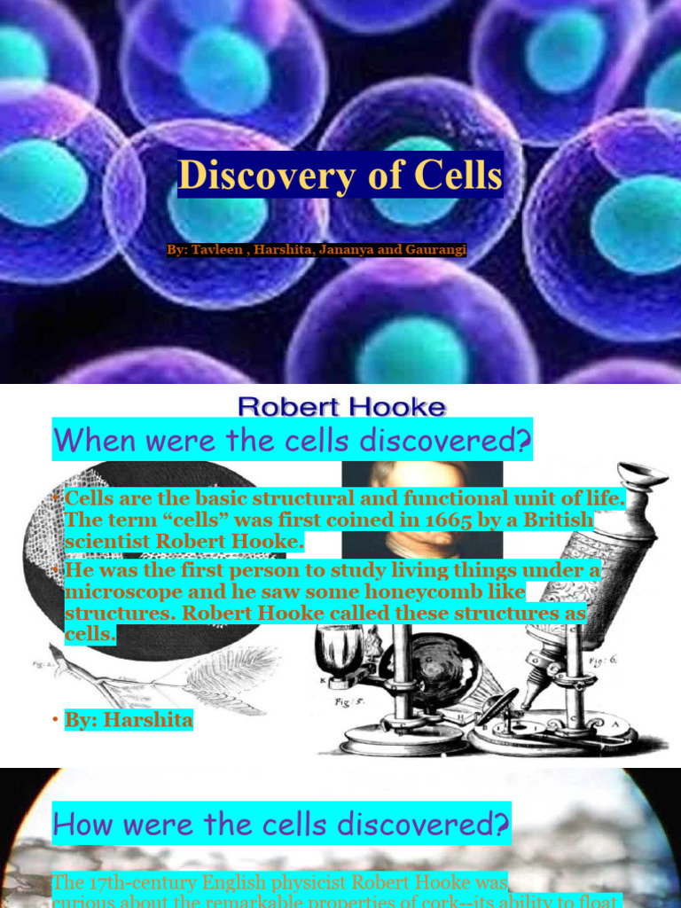 Cell Discovery for Young Learners | PDF | Microscope | Biology