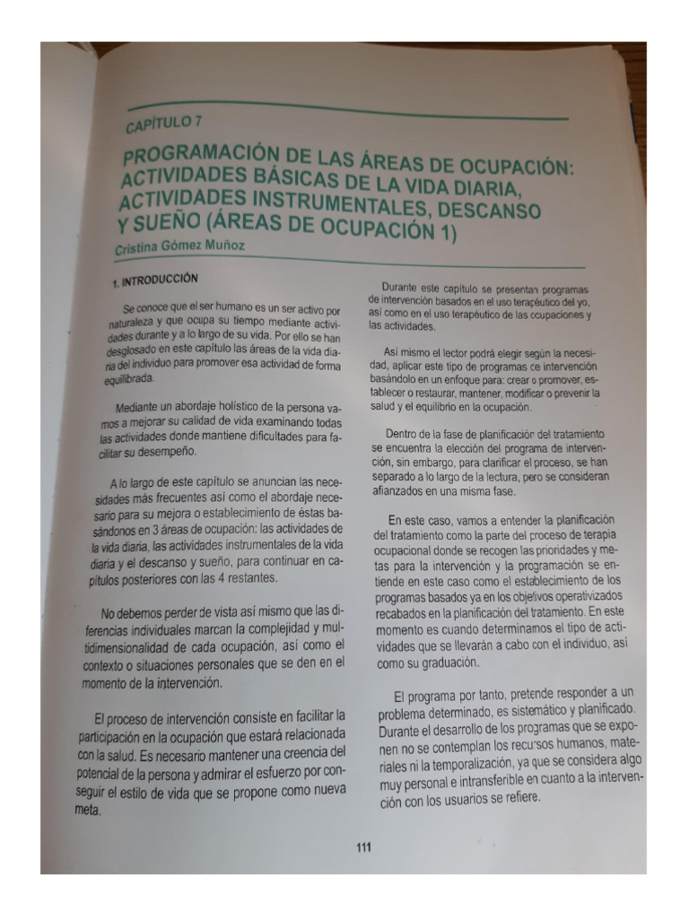 Capítulo 7 Programación de Las Áreas de Desempeño AVD, AIVD, Descanso y Sueño | PDF