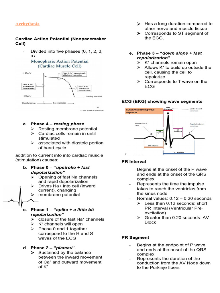 ARRHYTHMIA | PDF | Electrocardiography | Heart