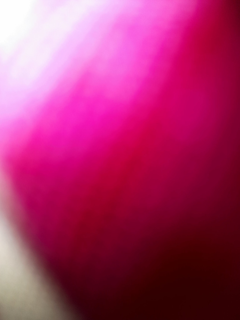 Adobe Scan 21-Apr-2024 (1) | PDF