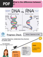 Grade 5 Double Line Graphs C | PDF