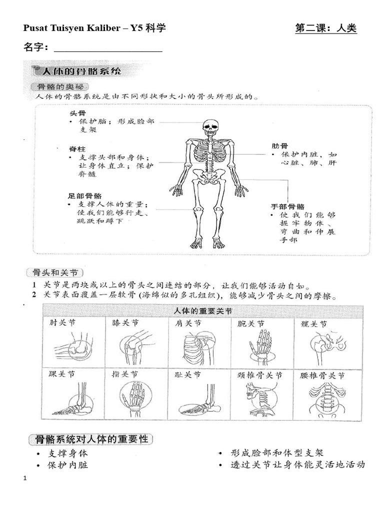 Y5 SC Chapter 2 | PDF