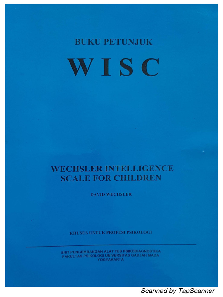 WISC Test Manual and Scoring Guide | PDF