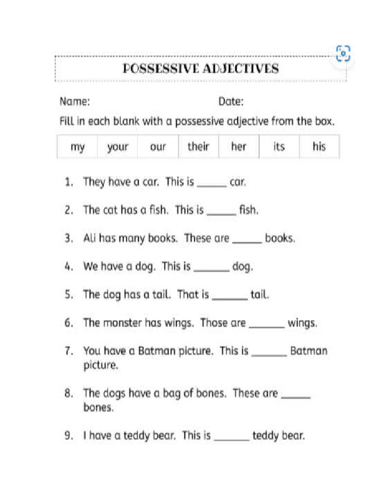 Possessive Adjectives Worksheet | PDF