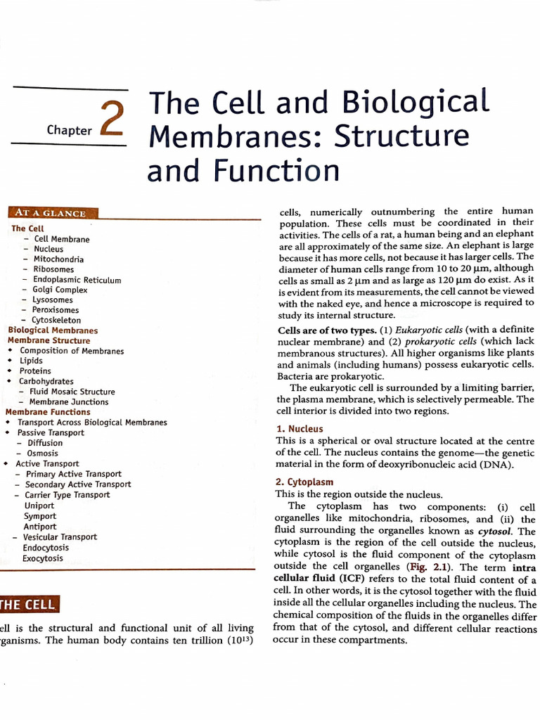 The Cell and Biological Membranes Structure and Function | PDF | Cell (Biology) | Cell Membrane