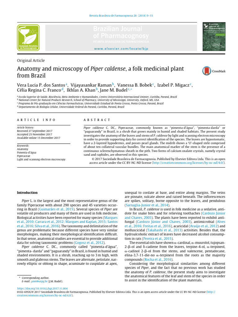 Anatomy and Microscopy of Piper Caldense | PDF | Leaf | Plant Stem