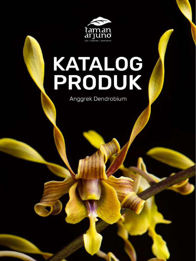 Katalog Anggrek Dendrobium | PDF | Plant Morphology | Plants