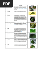 10 Jenis Napkin Beserta Cara Lipatan | PDF | Memasak, Makanan, & Anggur
