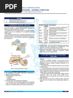 Femoral Artery Puncture Management-1 | PDF | Blood Pressure | Pulse