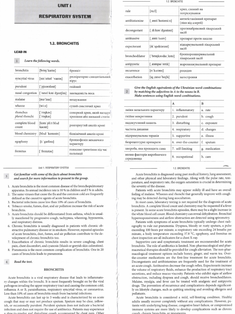 Respiratory System + Cardiovascular System (1 Part) | PDF