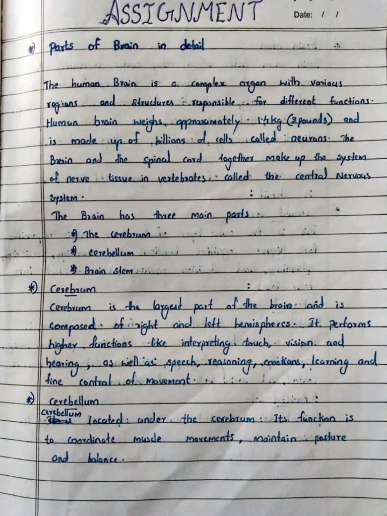 Introduction To Psychology Assignment | PDF | Animal Physiology | Brain