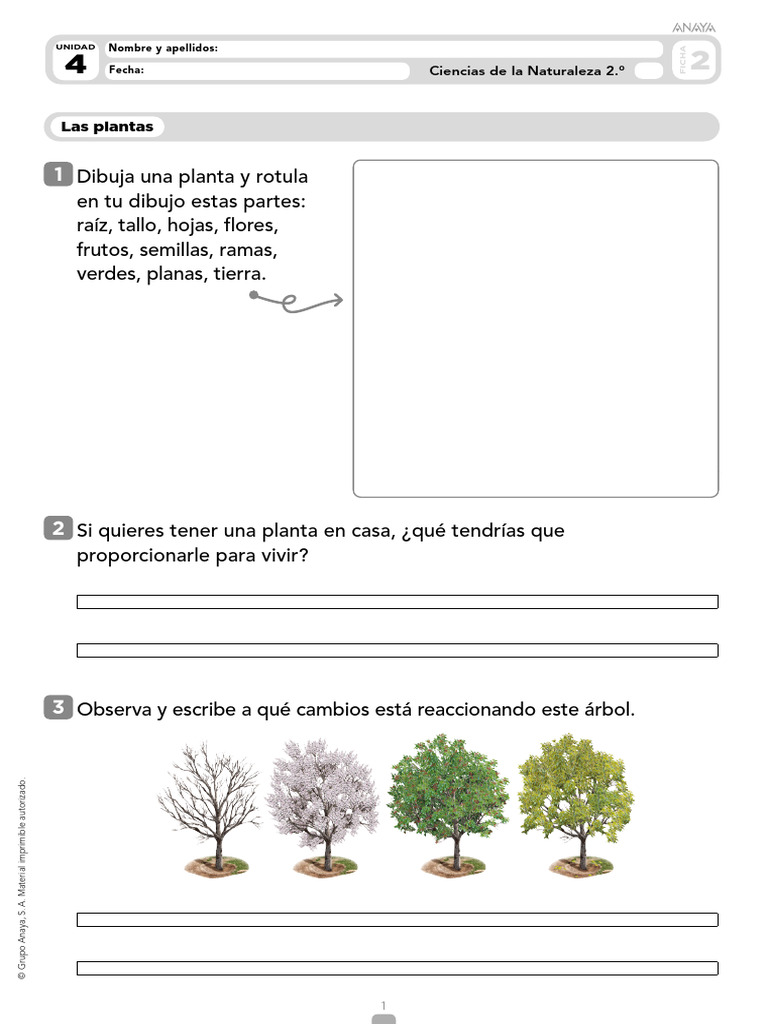 Plantas 2 | PDF | Organismos | Botánica