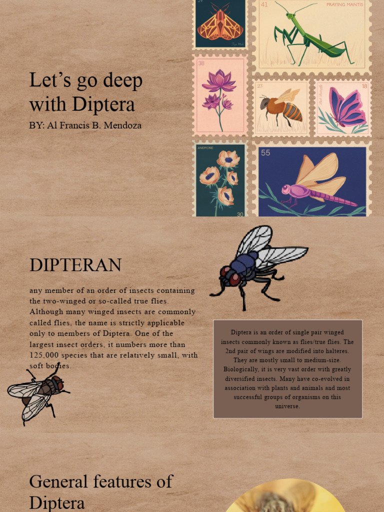 Beige Vintage Insects Nature Presentation | PDF | Fly | Mosquito