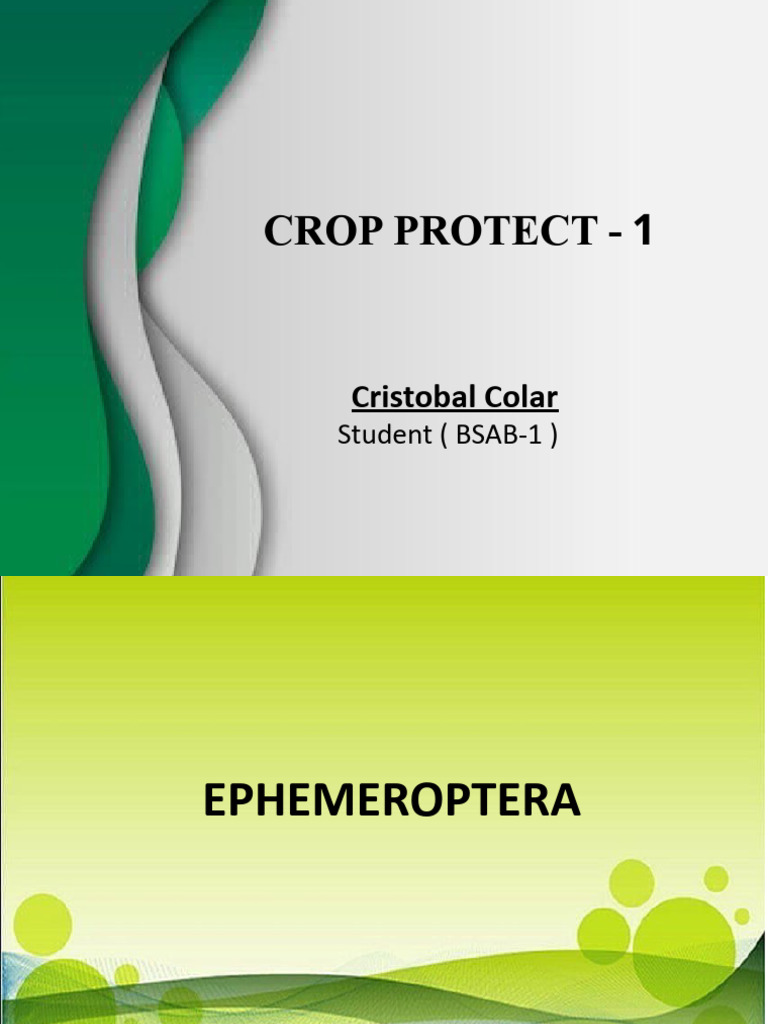 Crop Protect Ephemeroptera | PDF | Insects | Zoology