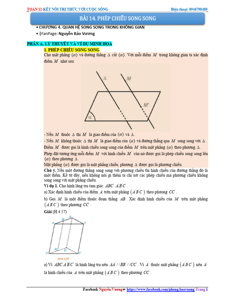 bai-14-phep-chieu-song-song-CH | PDF