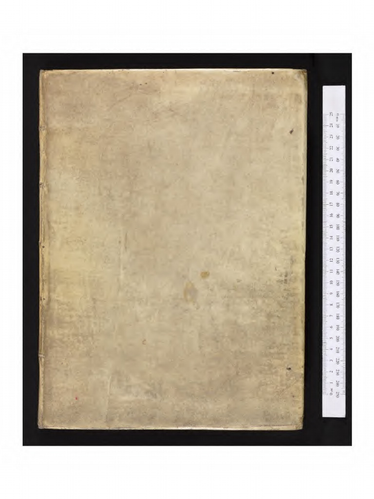 Codex Mendoz Text | PDF