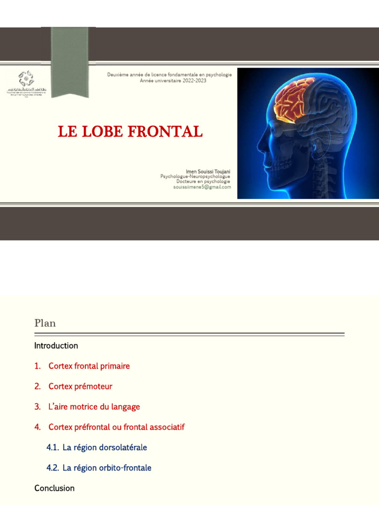 Fonction du lobe frontal en psychologie | PDF | Cortex cérébral ...
