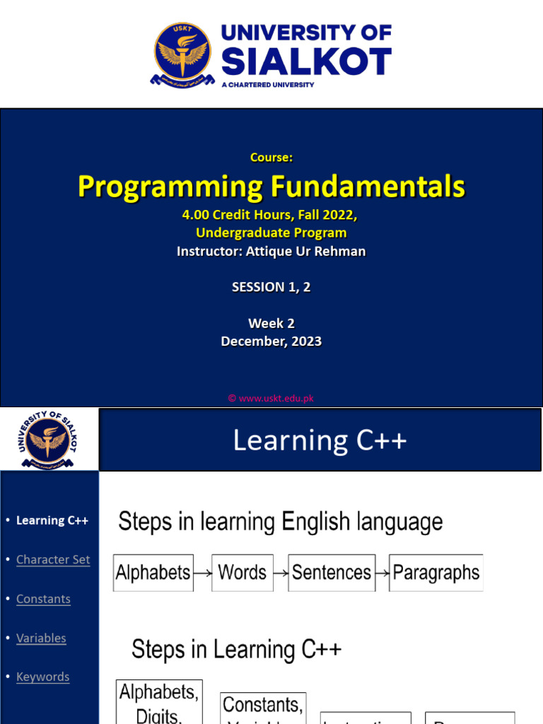 2 B ProgFundamentals WEEK 2-b | Download Free PDF | Variable (Computer Science) | Data Type