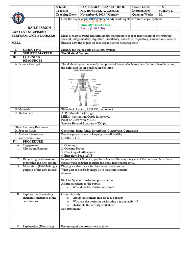 Dlp Science Q2 W1 Day 1 Pdf Bone Vertebral Column
