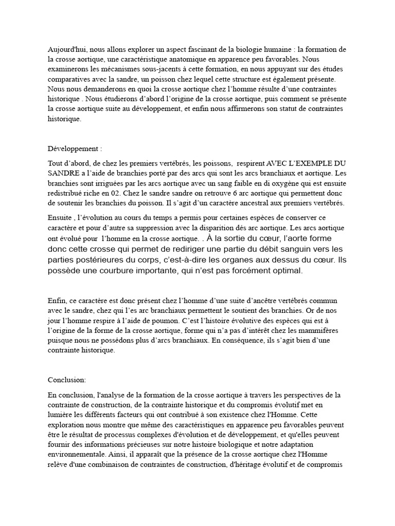 Formation de la crosse aortique humaine | PDF | Branchie | Aorte
