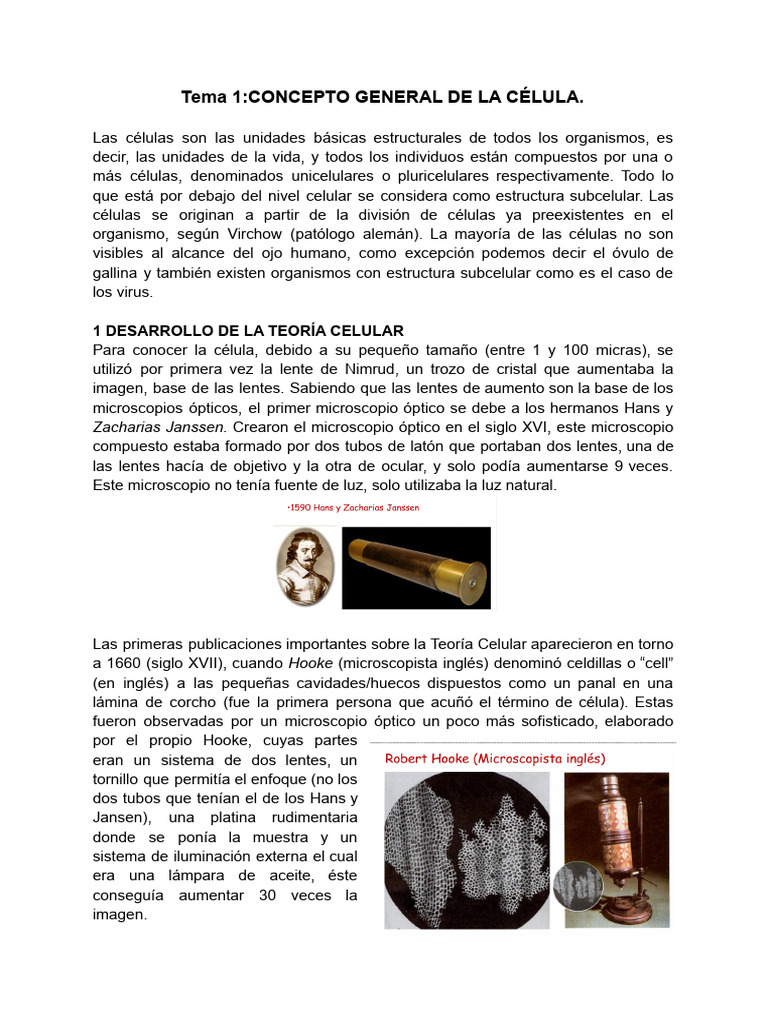 Teoría Celular y Tipos de Células | PDF | Biología Celular) | Citoplasma