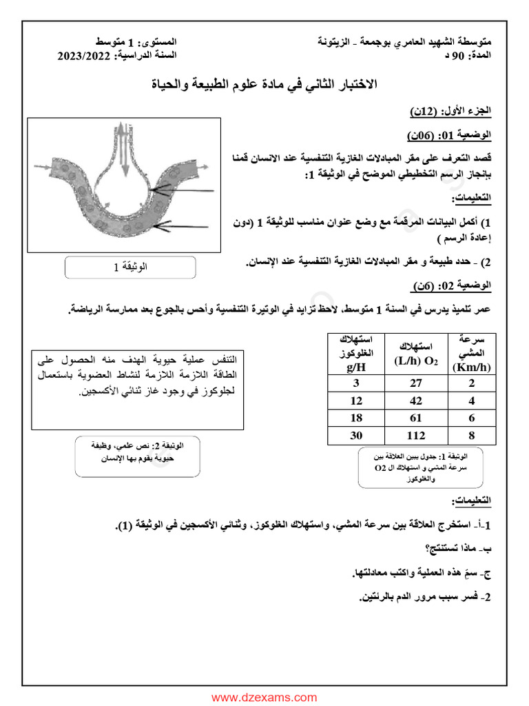 Dzexams 1am Sciences Naturelles 297699 | PDF