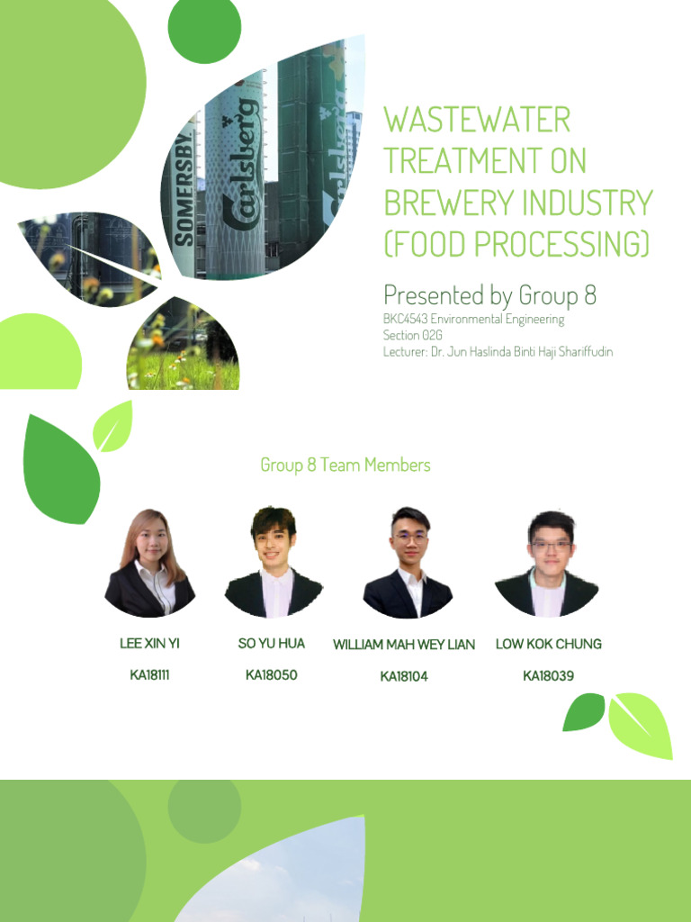 Environmental Engineering Project | PDF | Sewage Treatment | Aquatic ...