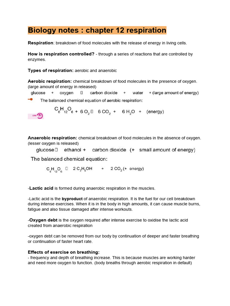 Biology Notes - Chapter 12 Respiration | Download Free PDF | Cellular ...