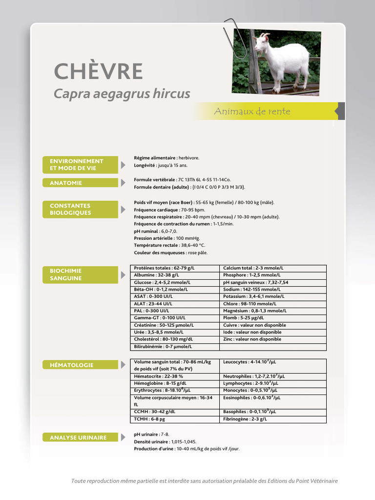 Chevre | PDF | Chèvre