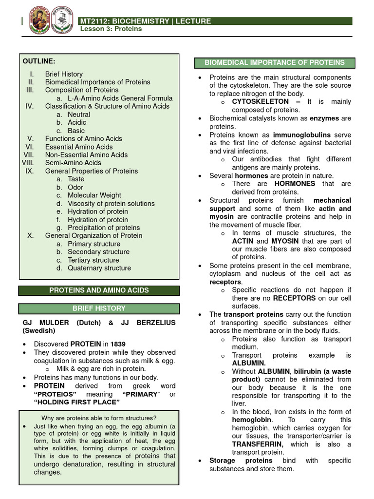 Biochem Lec-Lesson 3-Transes | PDF | Protein Structure | Amino Acid