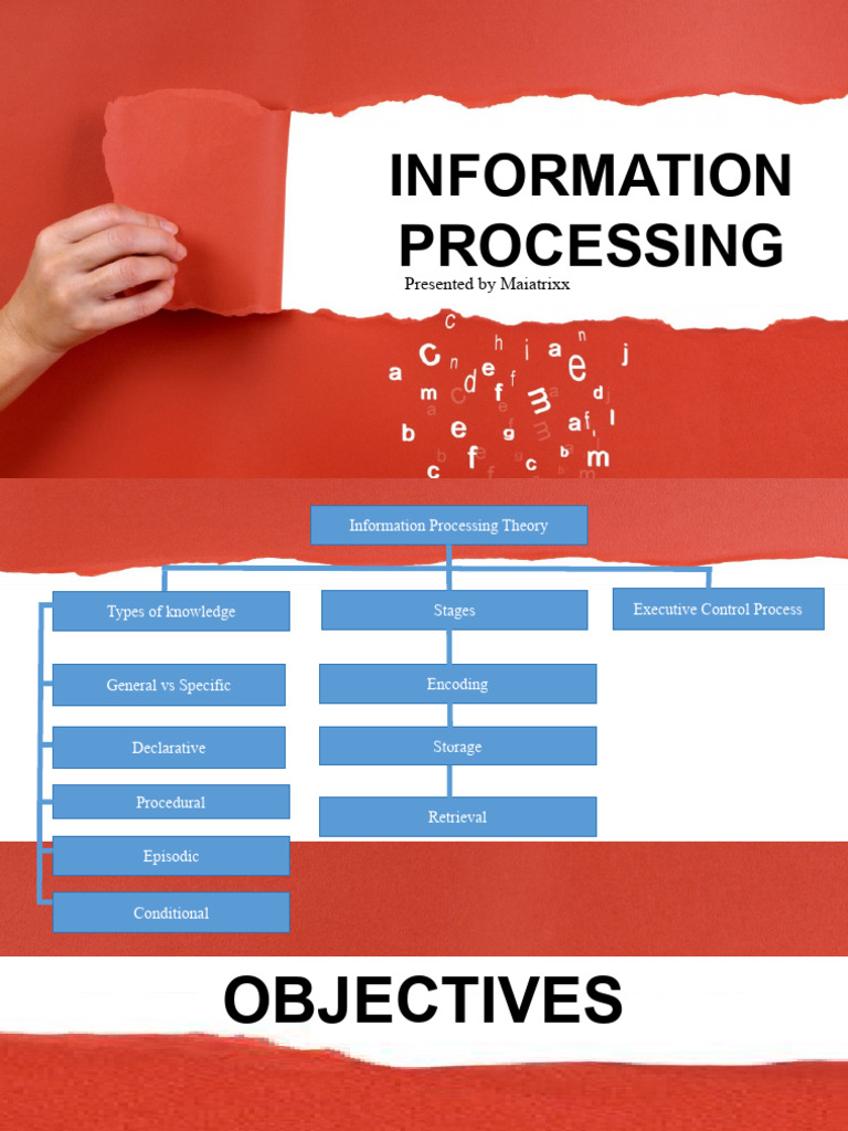 Information Processing. (Fin) | PDF | Memory | Long Term Memory