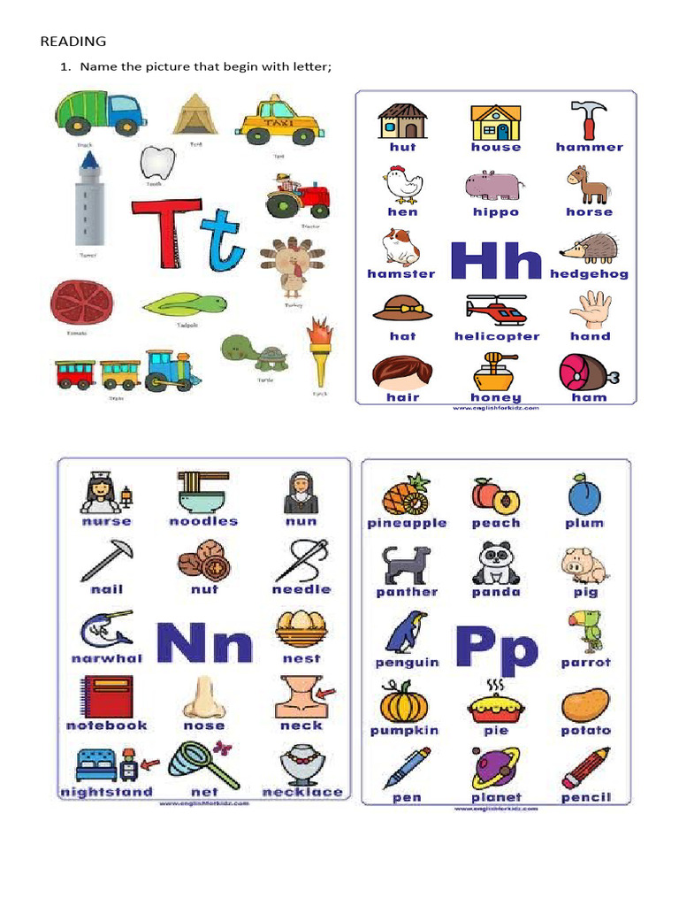 Kinder Exam | PDF | Science & Mathematics