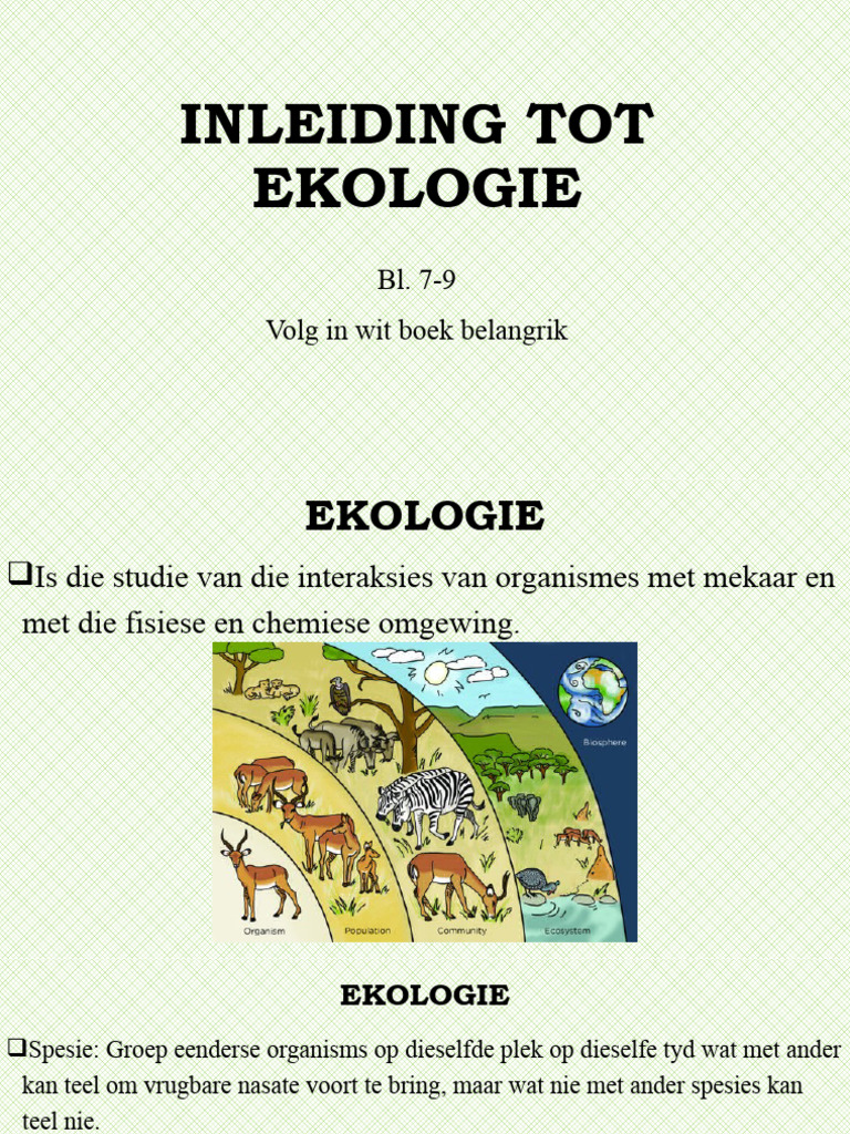 Graad 8 KW 1 Ekologie Skyfies | PDF