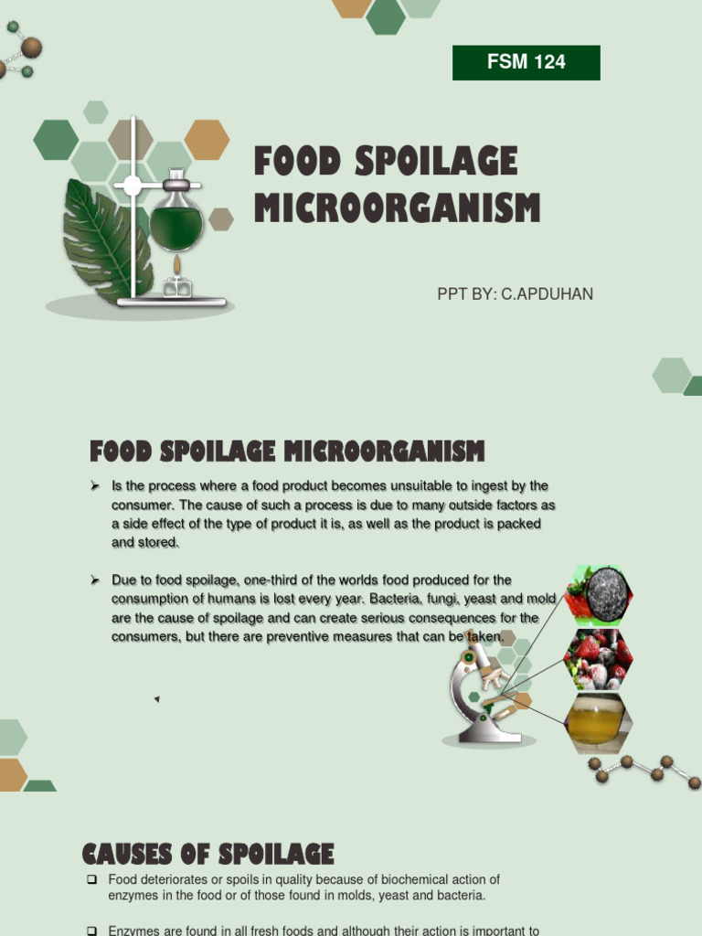 C.APDUHAN Food Spoilage | PDF | Decomposition | Mold